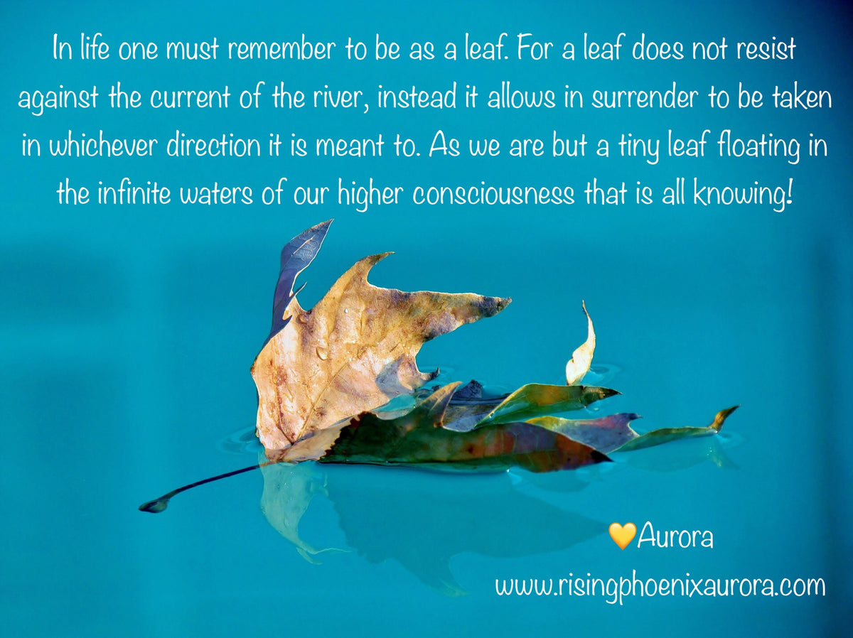 Surrender – Rising Phoenix Aurora