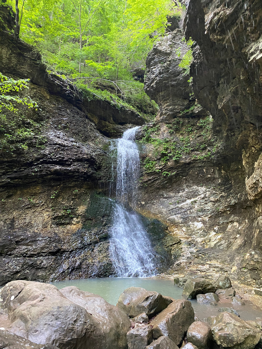 MANIFESTATION WORKSHOP- Sacred Alchemy – Rising Phoenix Aurora